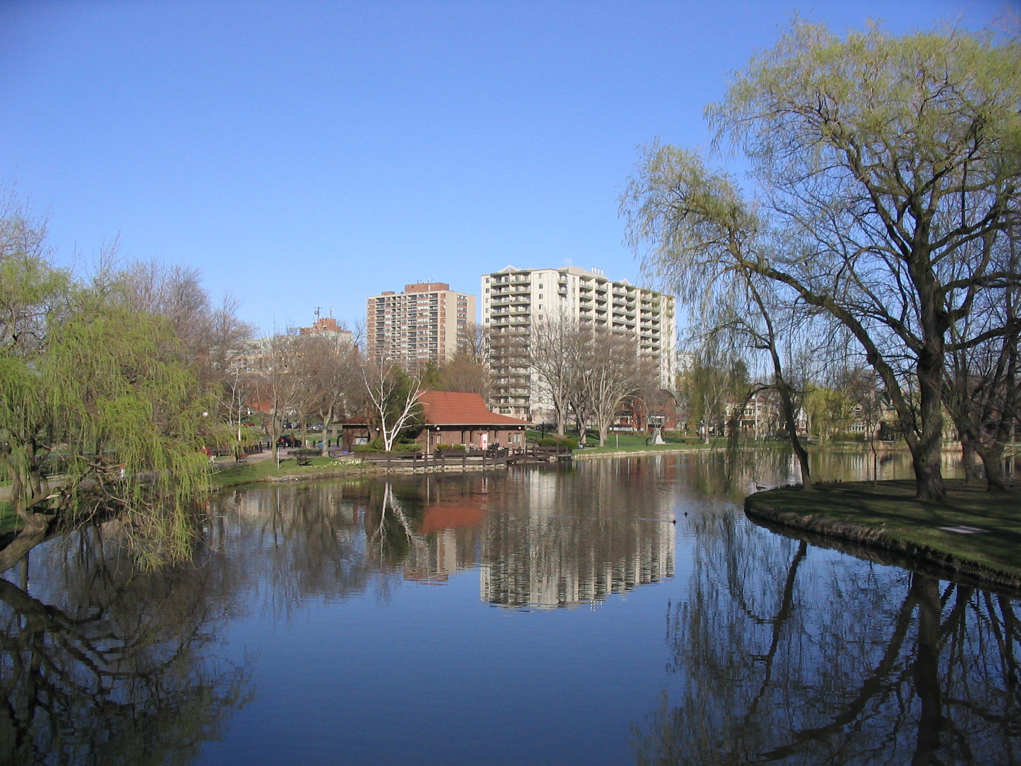 Kitchener Tree Service » Capella Tree Service